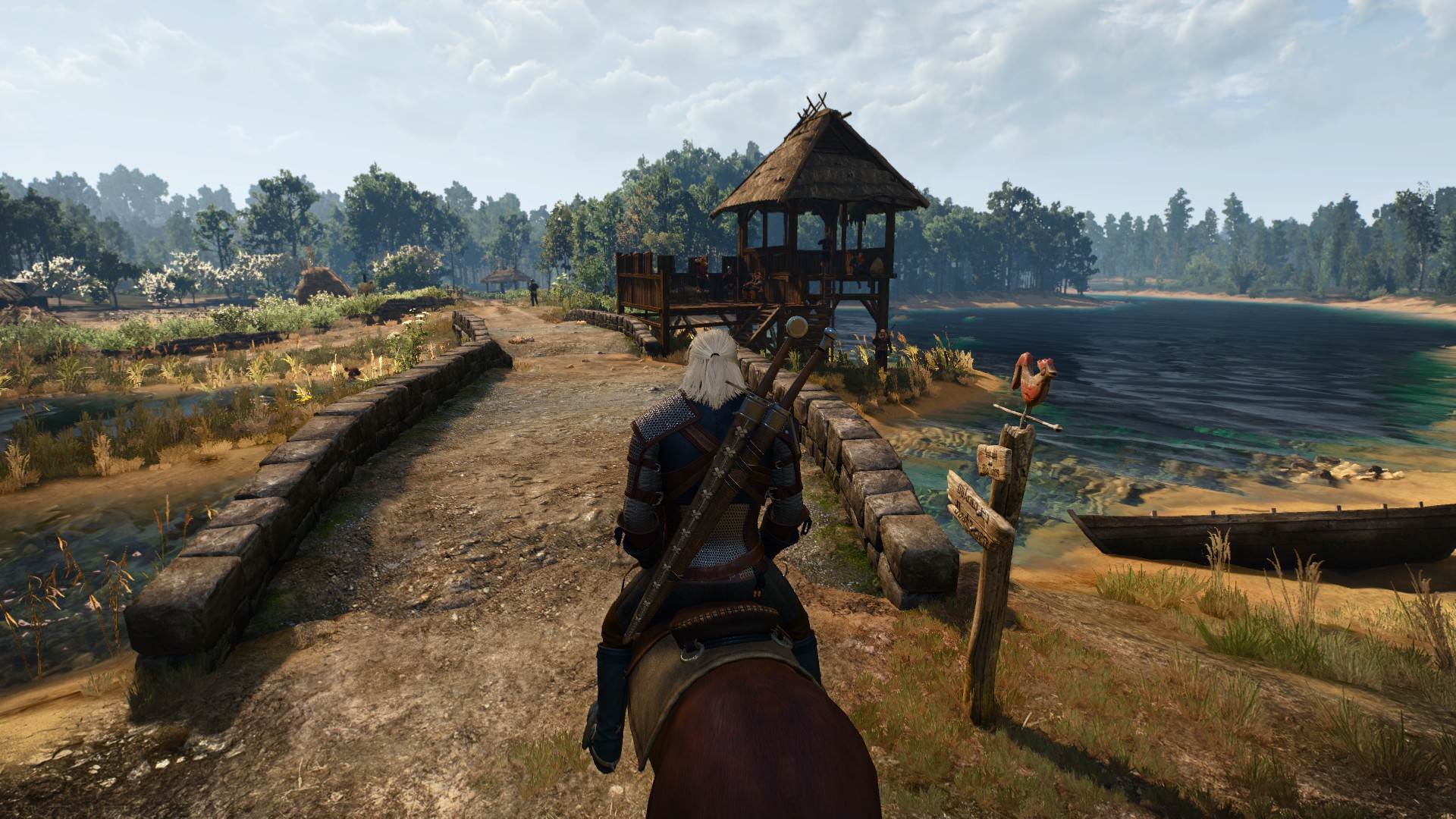 The Witcher: Video Game Series from Poland